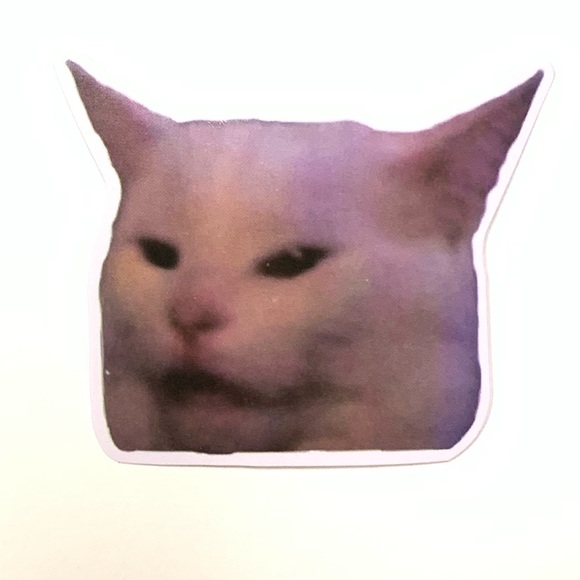 Accessories | Meme Cat Vinyl Sticker | Poshmark